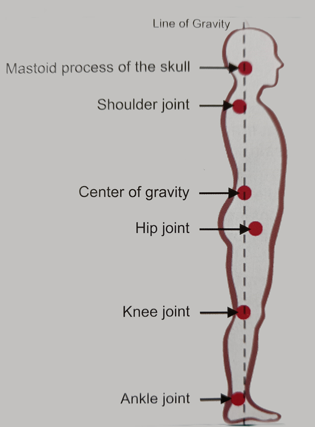 Posture - Deep Physiotherapy
